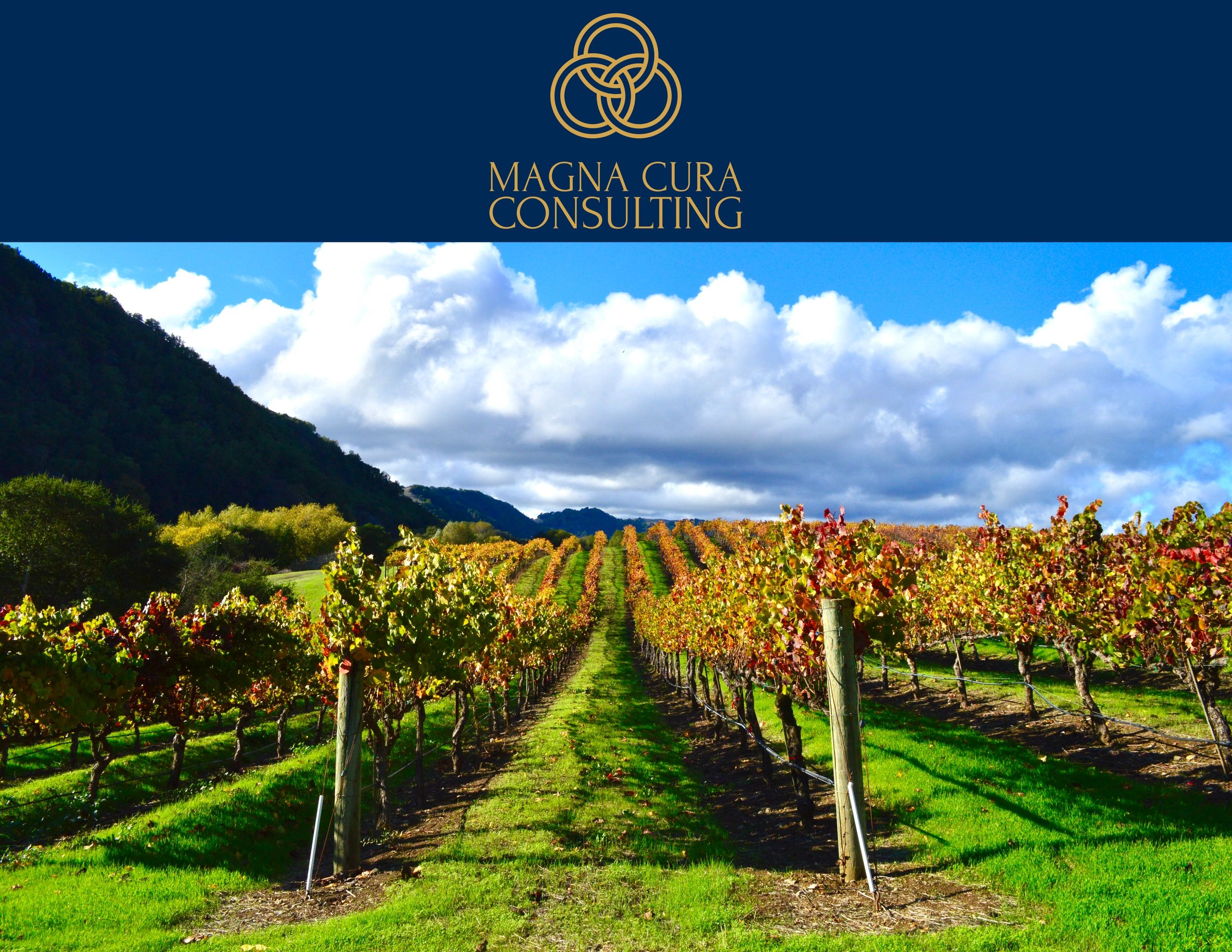 Magna Cura Consulting